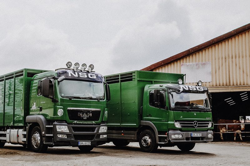 NSG – Nutz- und Schlachtviehhandelsgesellschaft